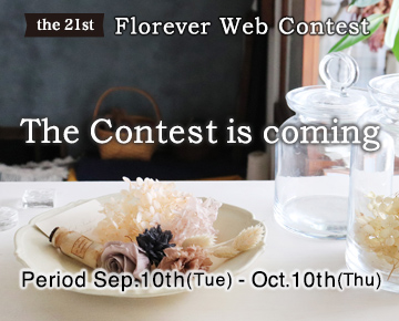 Preserved Flowers - Florever